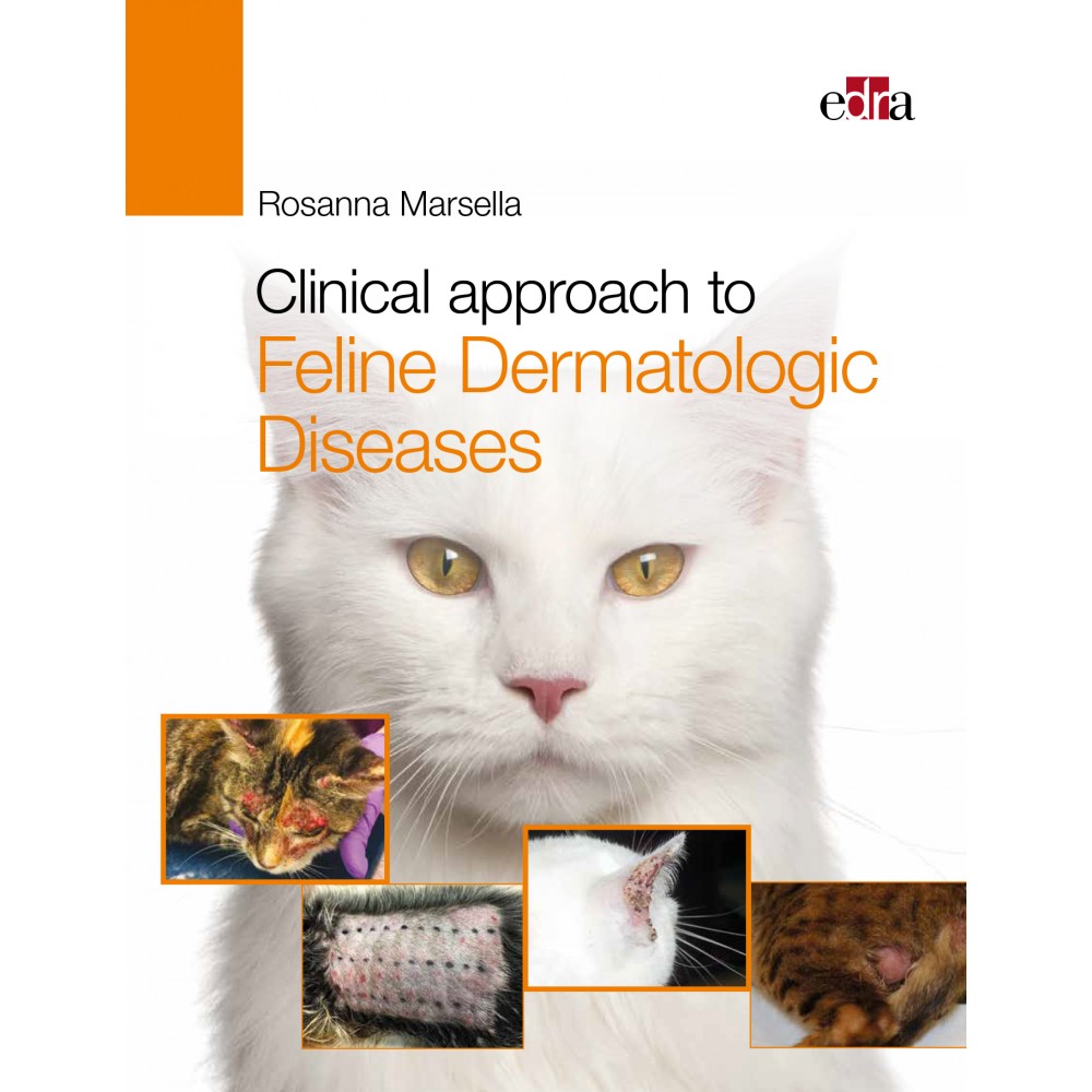 Clinical approach to feline dermatologic diseases - Veterinary Book