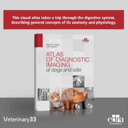 Diagnostic imaging