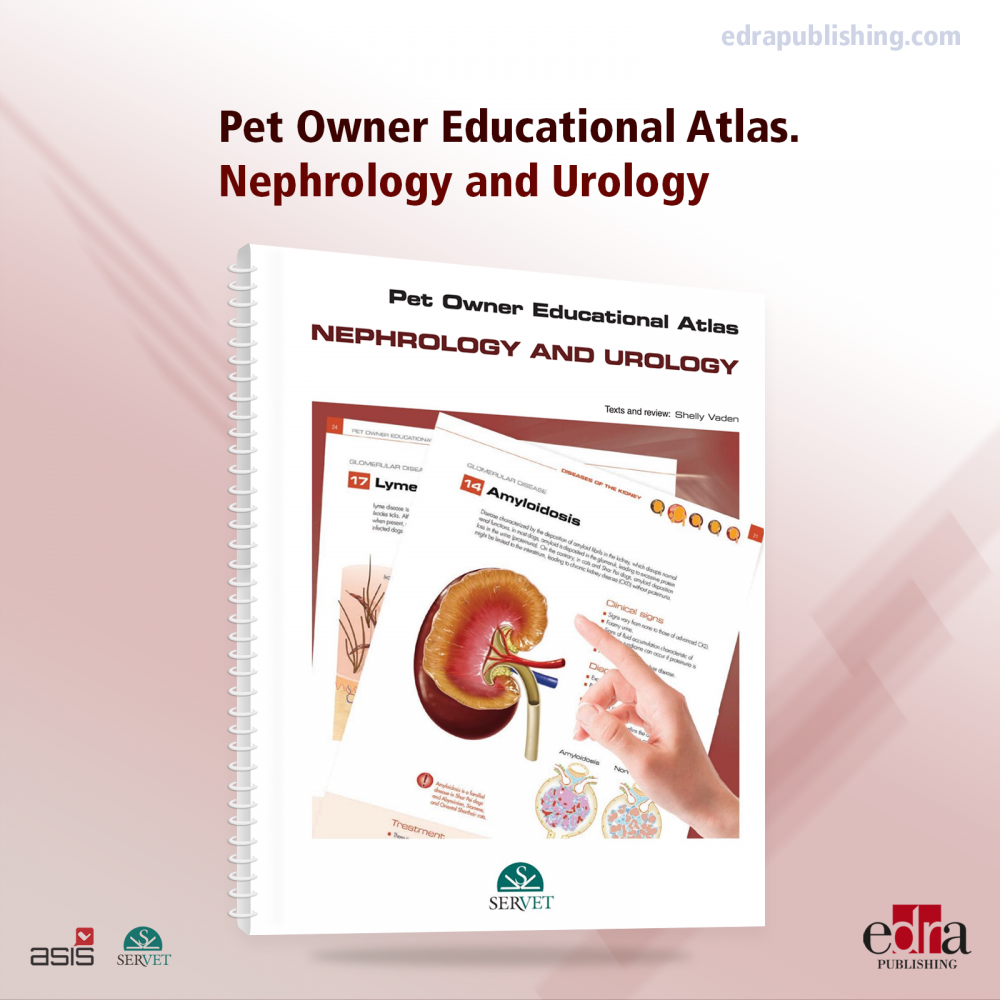Nephrology/Urology
